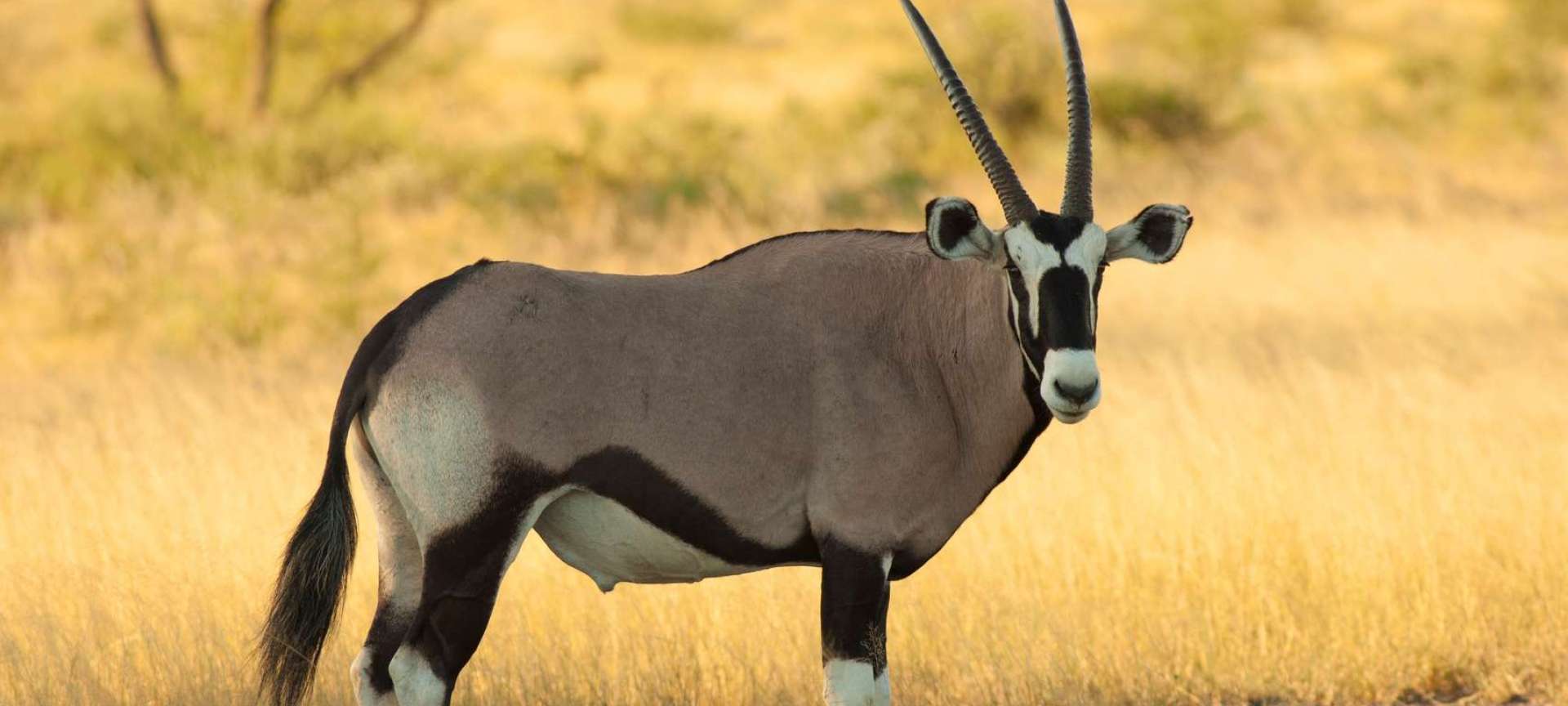 Meru National Park - Holaa Safari Kenya